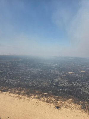 After evacuation warning, Bella Fire in Neenach halted at 98 acres ...